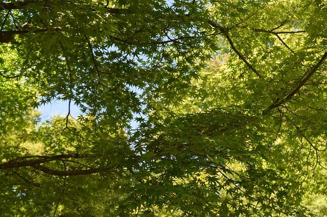Sts上でmavenを使ってweb画面のspring Bootプロジェクトを作成してみた｜itエンジニアとして経験・学習したこと
