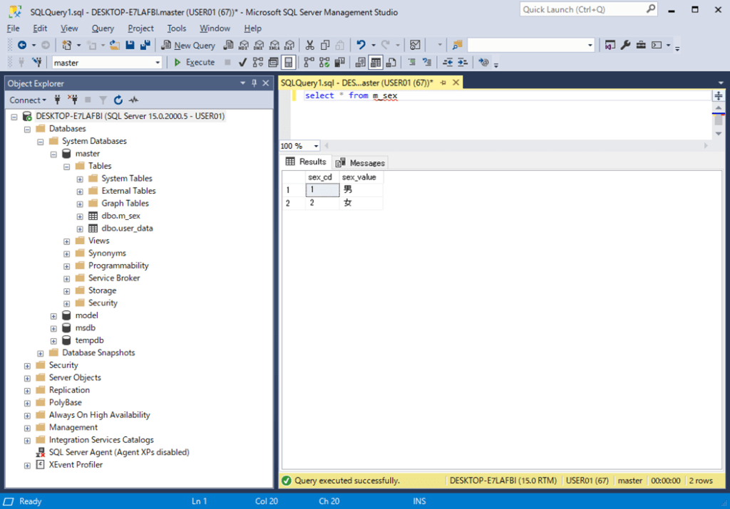 Spring Bootでsql Serverに接続しmybatisを利用してみた|itエンジニアとして経験・学習したこと