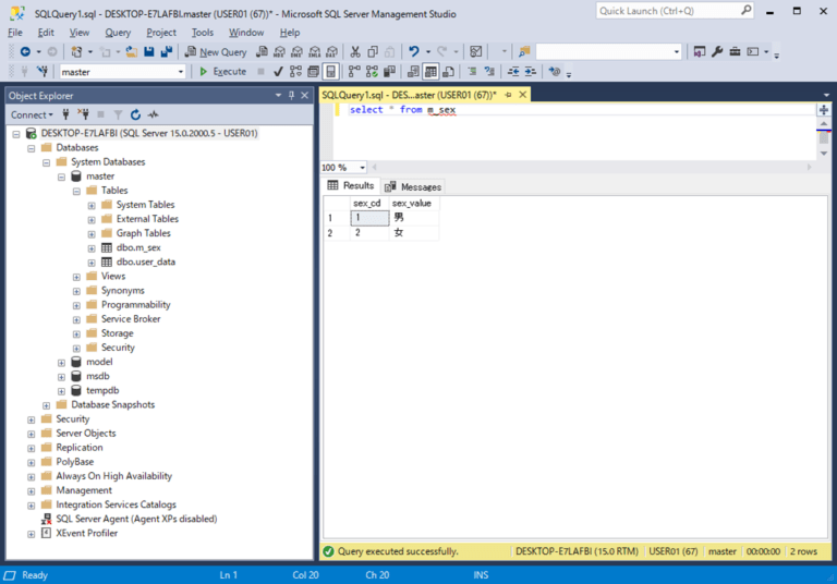 Spring Bootでsql Serverに接続しmybatisを利用してみた|itエンジニアとして経験・学習したこと